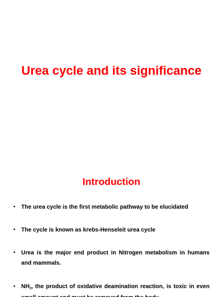 Significance of the Urea Cycle | PDF