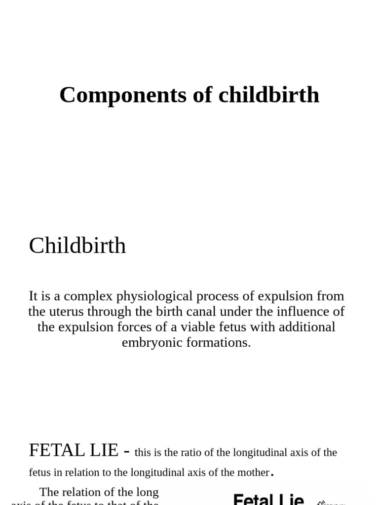 Anatomy of normal pelvis & Fetal skull | PDF | Pelvis | Musculoskeletal ...