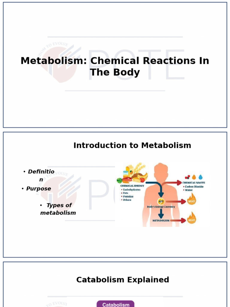 Overview of Metabolism and Reactions | PDF