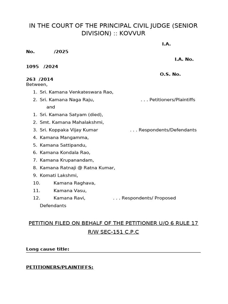 Petition For Amendments 1095 A4 | PDF
