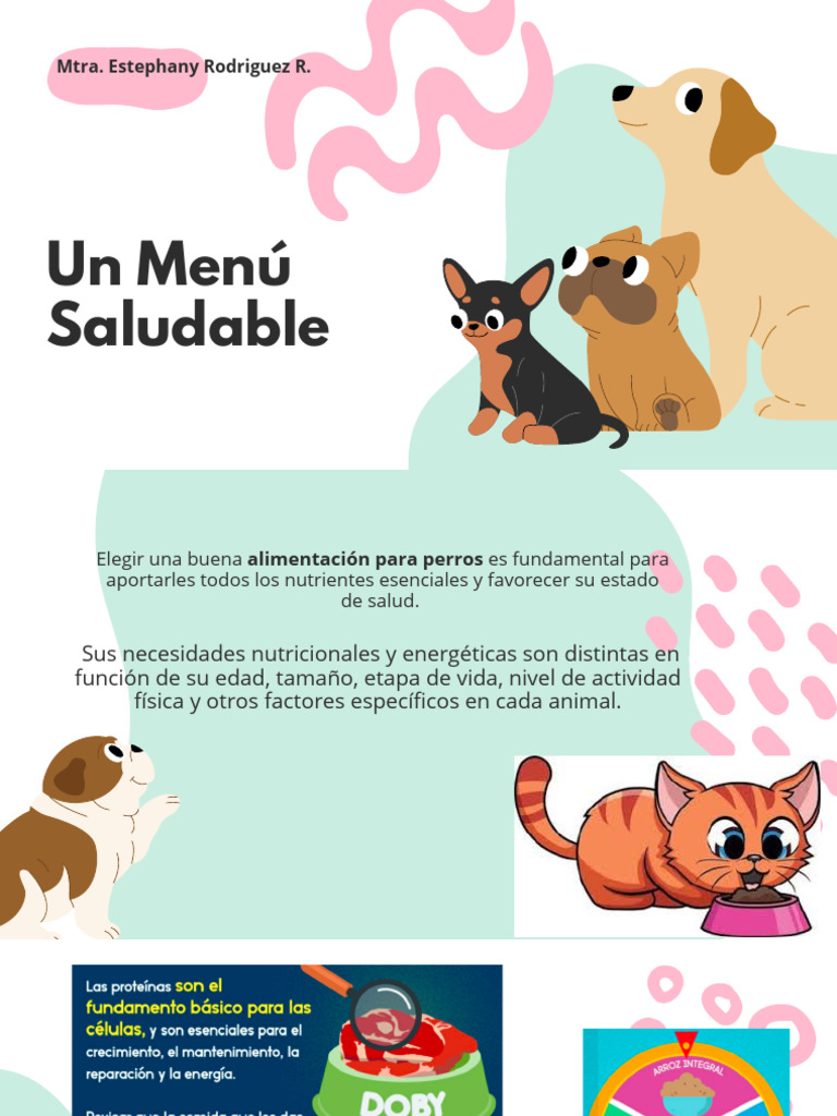 Un Menú Saludable | PDF