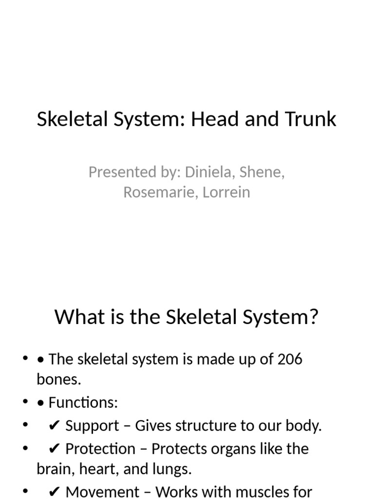 Skeletal System Presentation | PDF