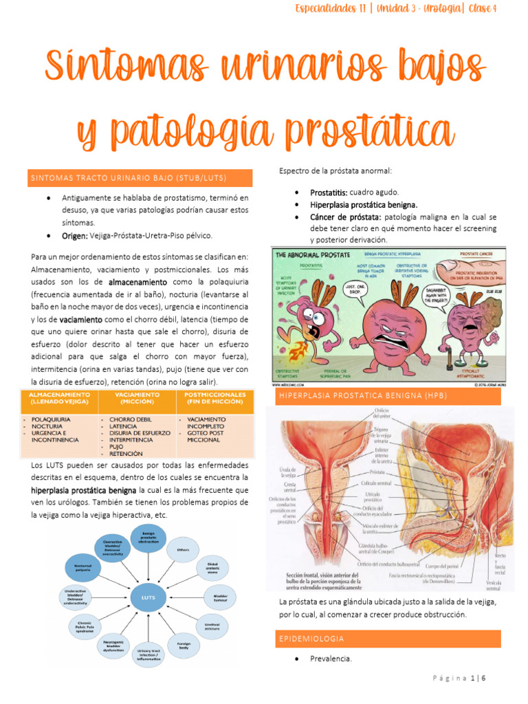 Síntomas Urinarios en Tracto Bajo | PDF | Próstata | Sistema genitourinario