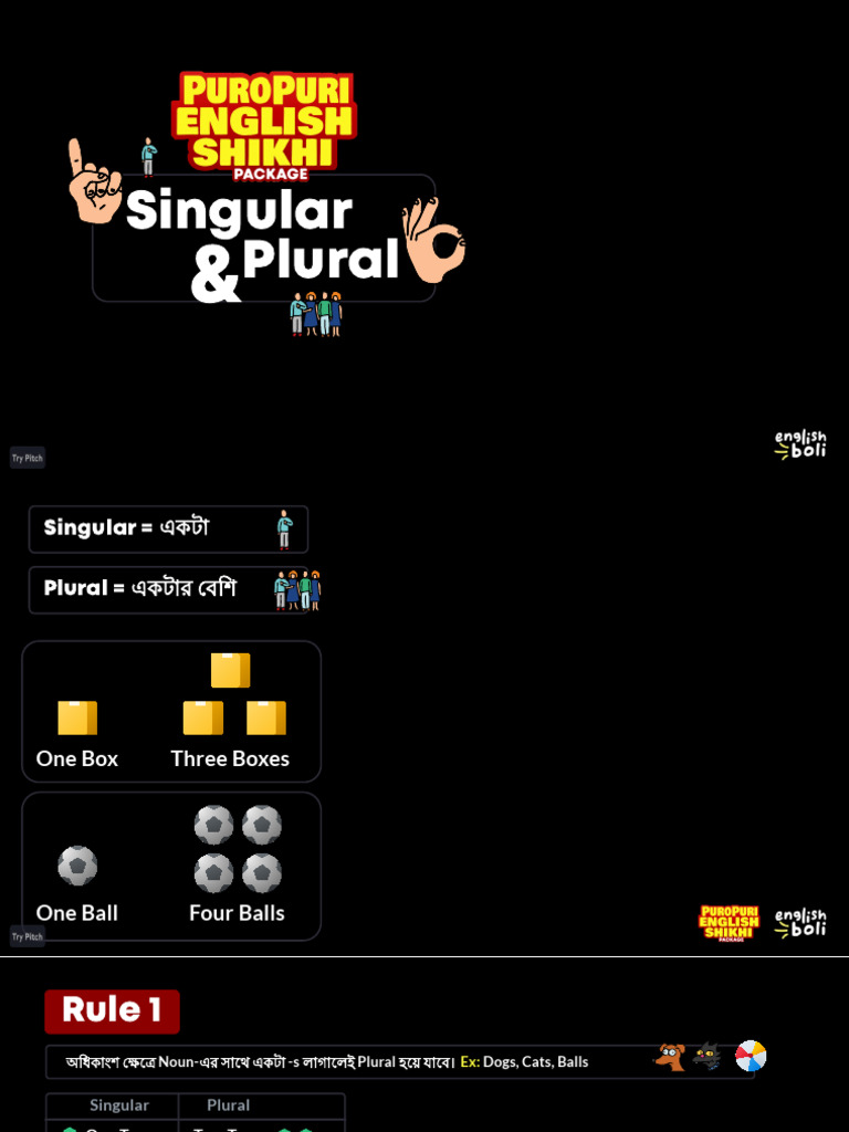 Singular Plural | PDF