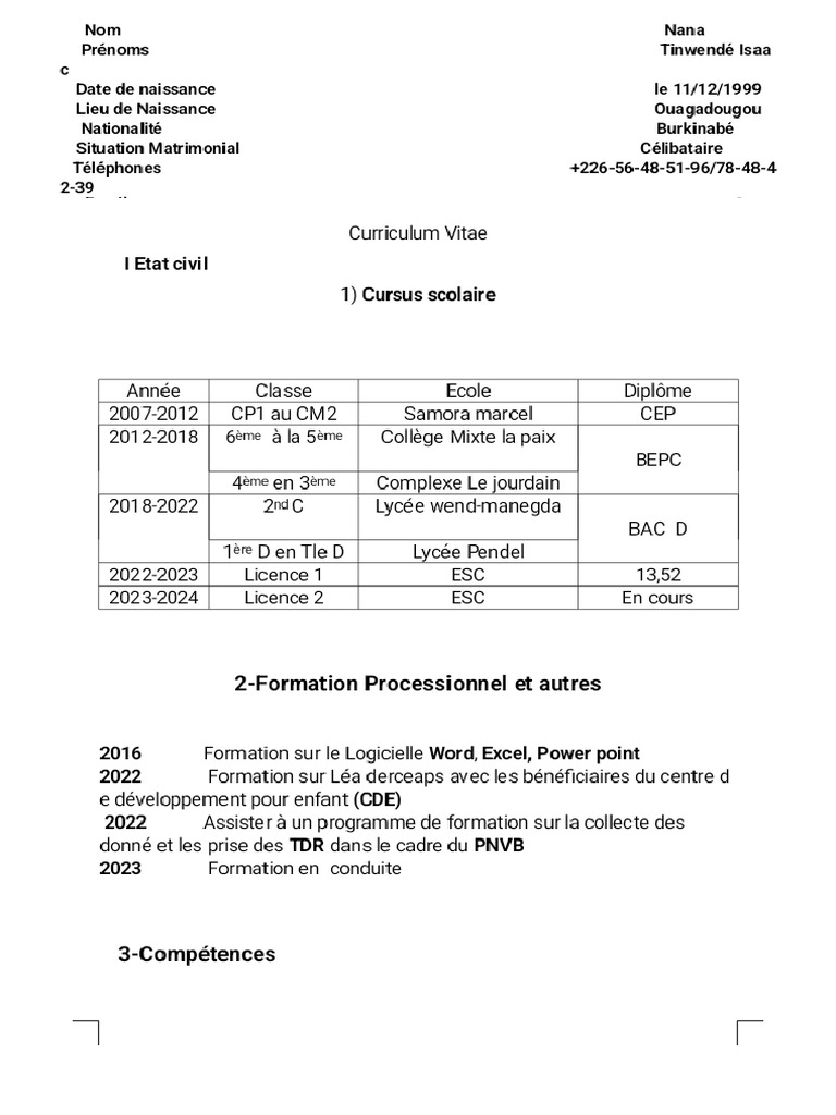 Curriculum Vitae Phoenix | PDF