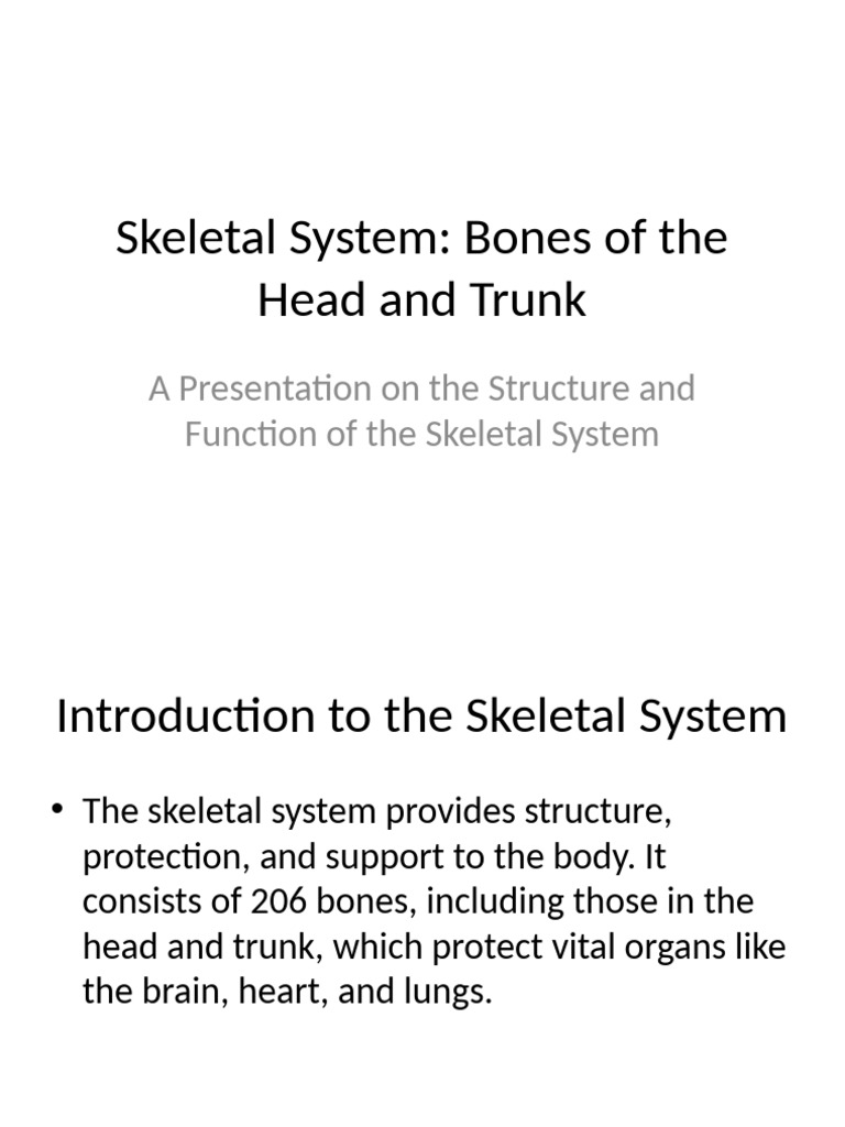 Skeletal System Head and Trunk | PDF