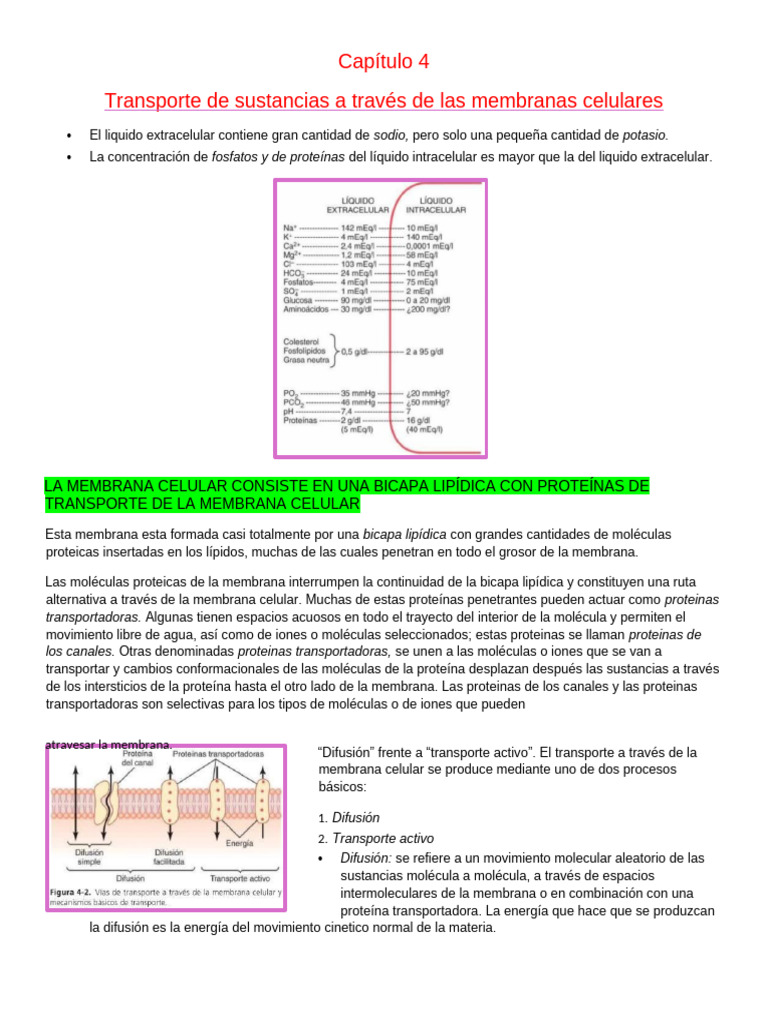 4 Cap | PDF | Membrana celular | Difusión