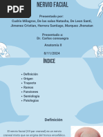 Ubicación y función del ganglio geniculado | PDF | Anatomia animal ...