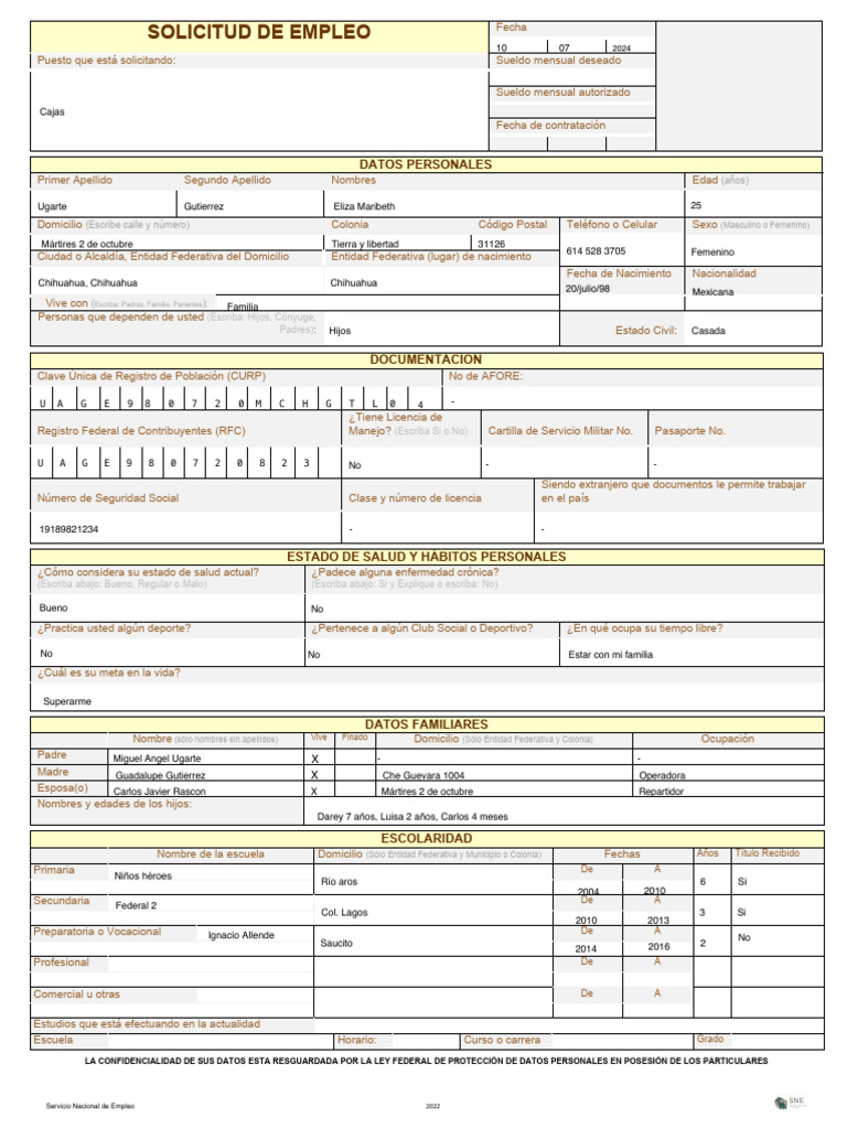 Sne Solicitud de Empleo Plantilla PDF | PDF