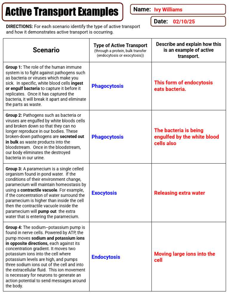 6.13b. Active Transport Examples - Digital | PDF | Vacuole | Cell (Biology)