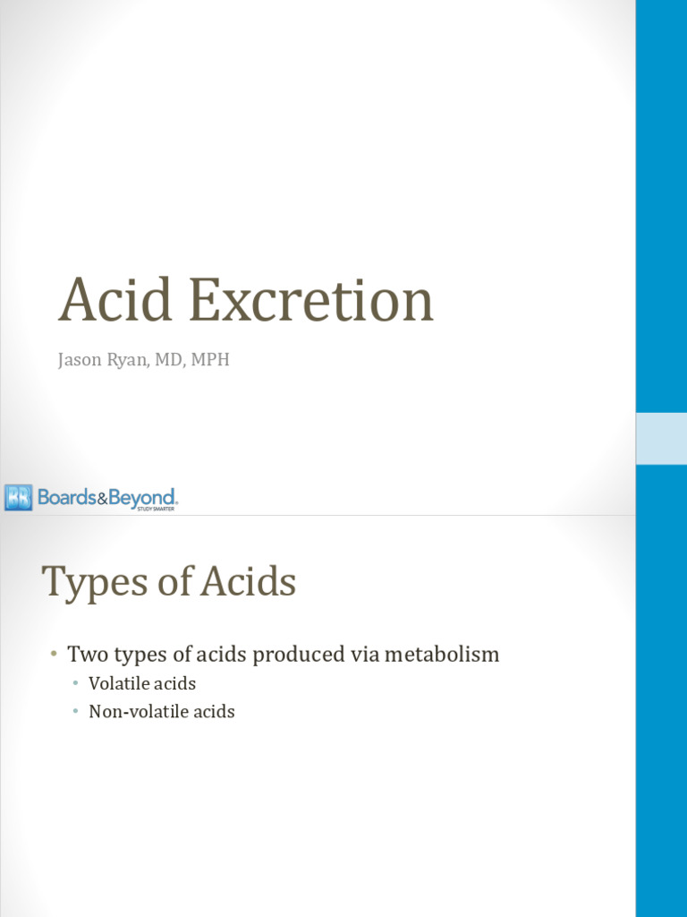-Base Acid Excretion Atf | PDF | Kidney | Bicarbonate