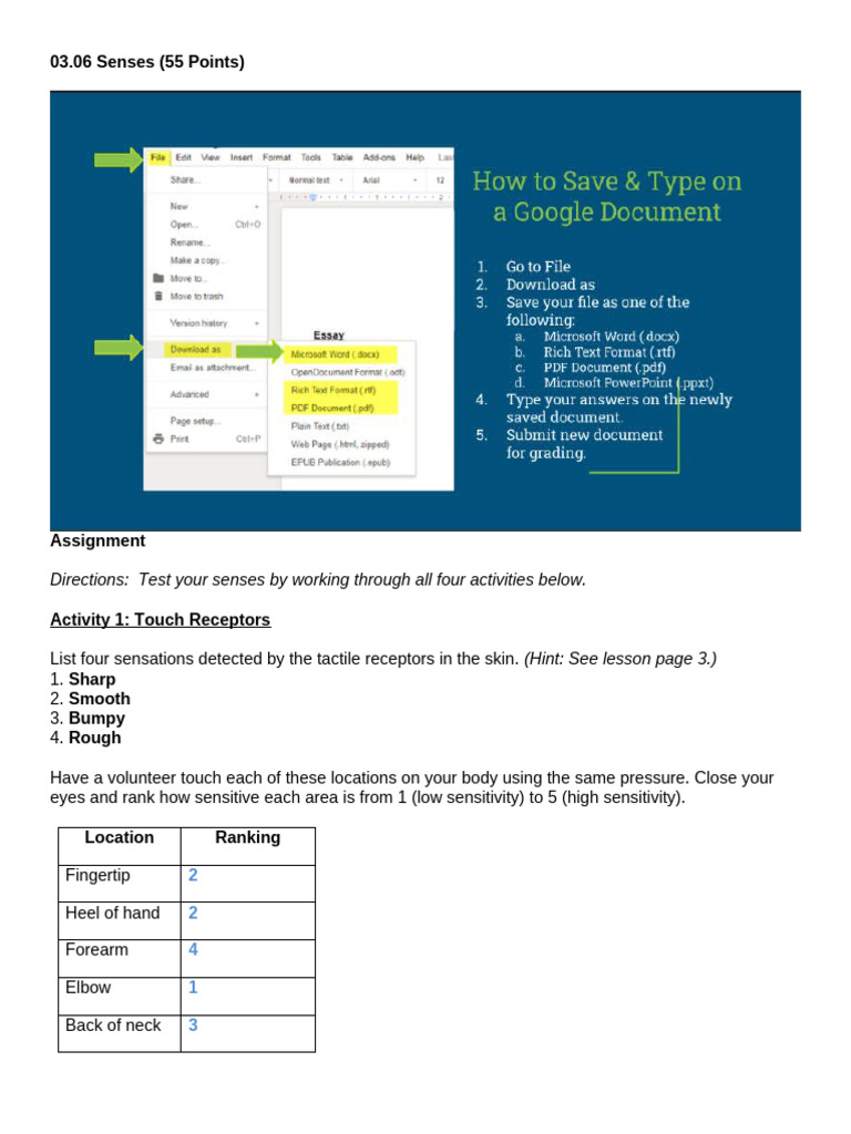 FLVS Anatomy and Phsyiology 3.06 | PDF | Taste | Eye