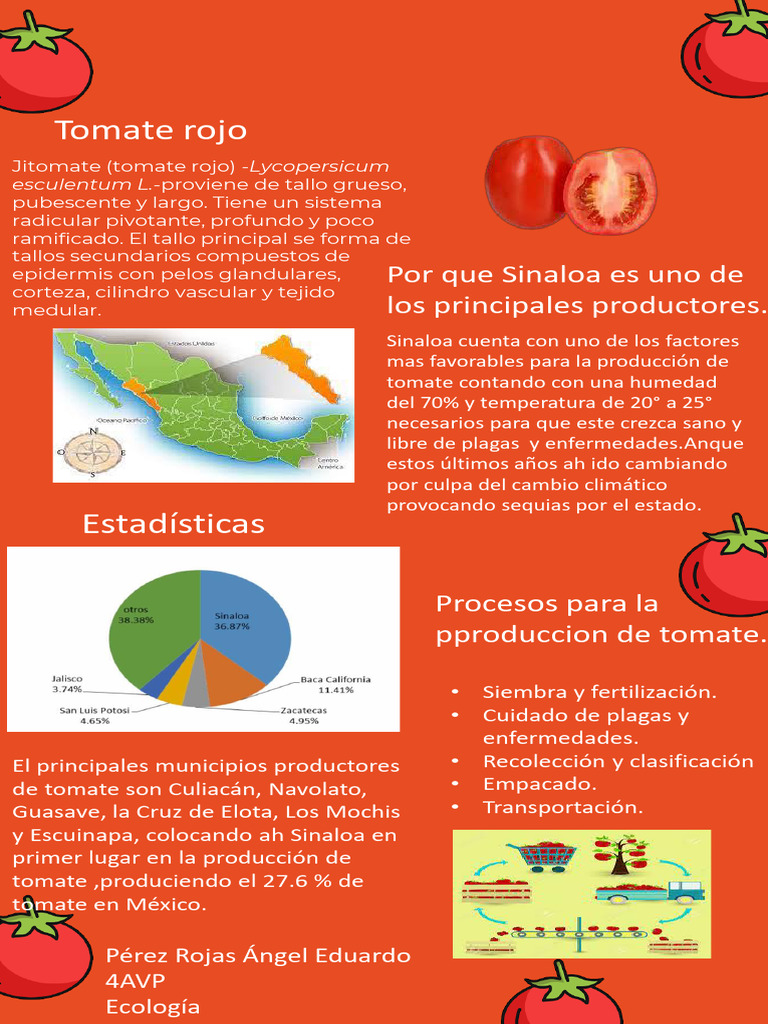 Infografia Ecologia 4AVP | PDF