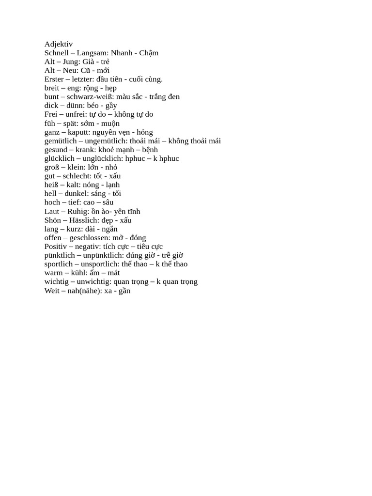 Adjektiv (Tính Từ) | PDF