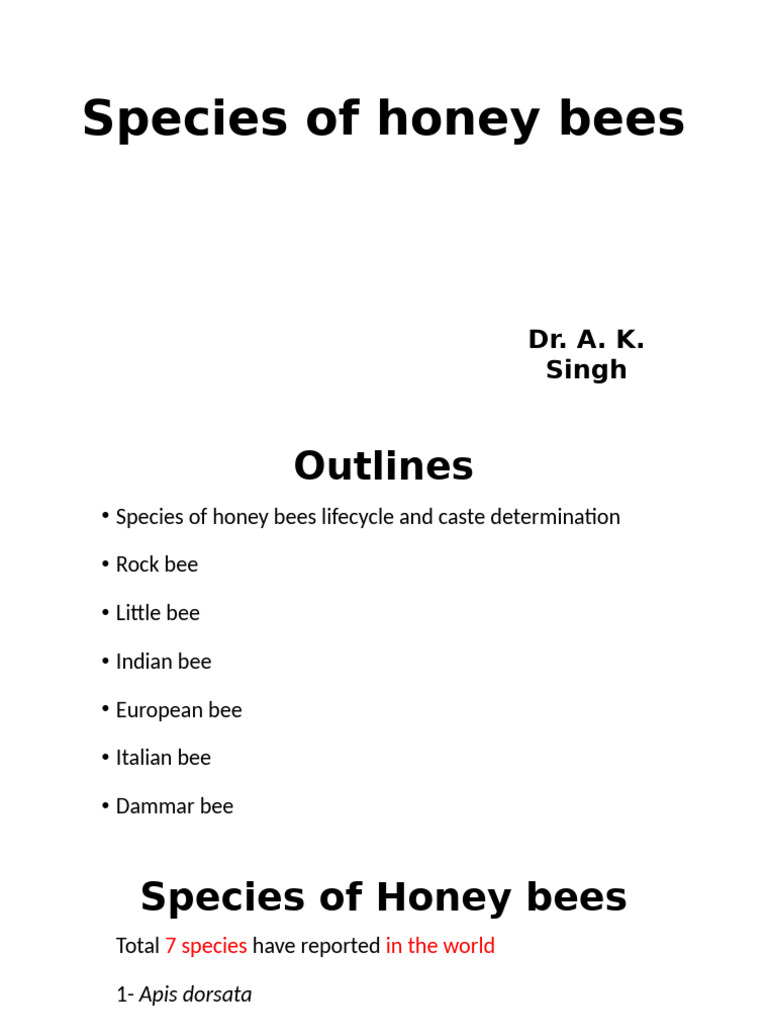 3 Honeybee Bee Biology | PDF | Honey Bee | Western Honey Bee