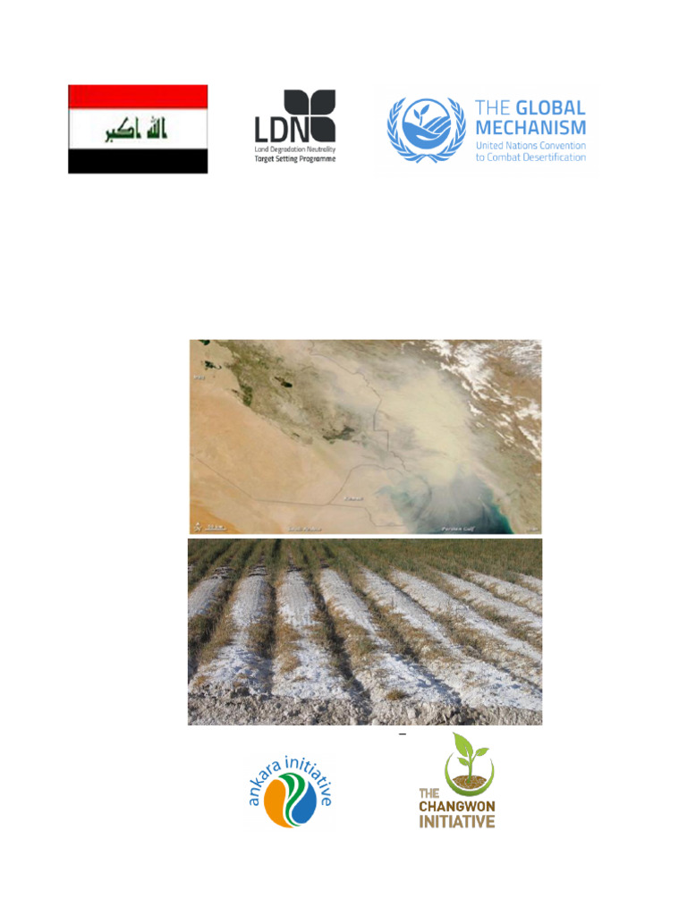 Iraq LDN TSP Country Report | PDF | Agriculture | Soil