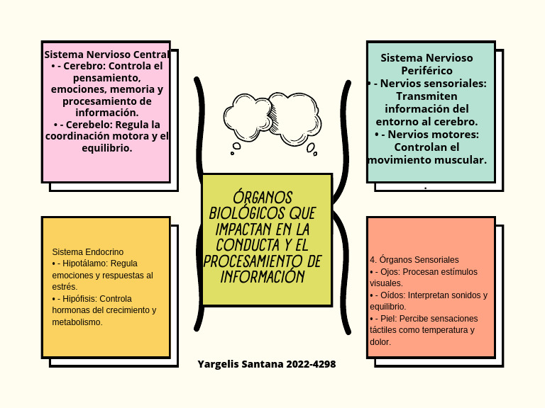Mapa Mental Ys | PDF