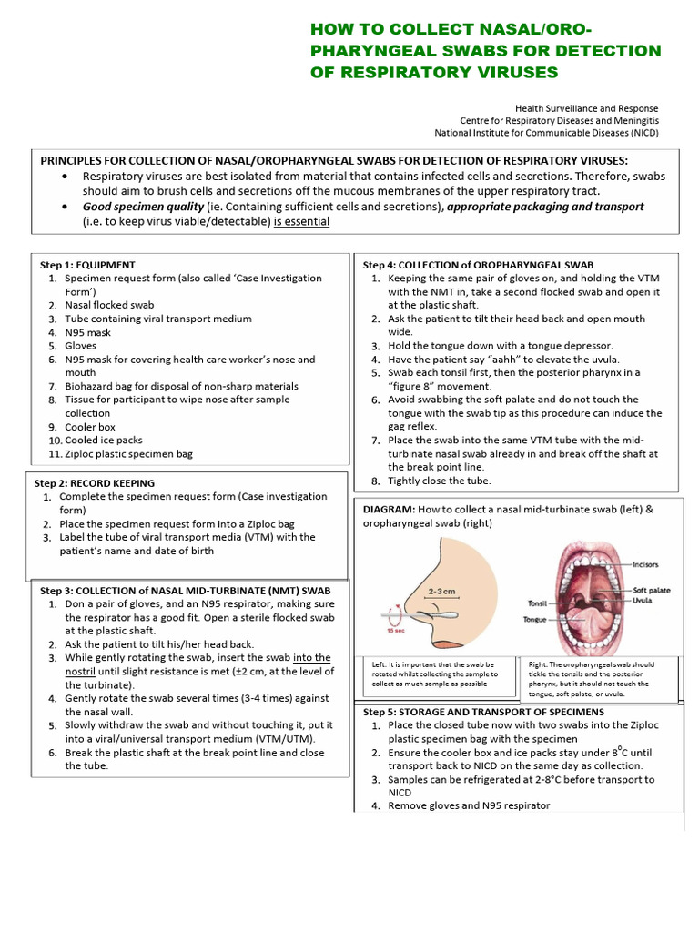 NPS and OPS Swab Collection | PDF | Human Nose | Respiratory System
