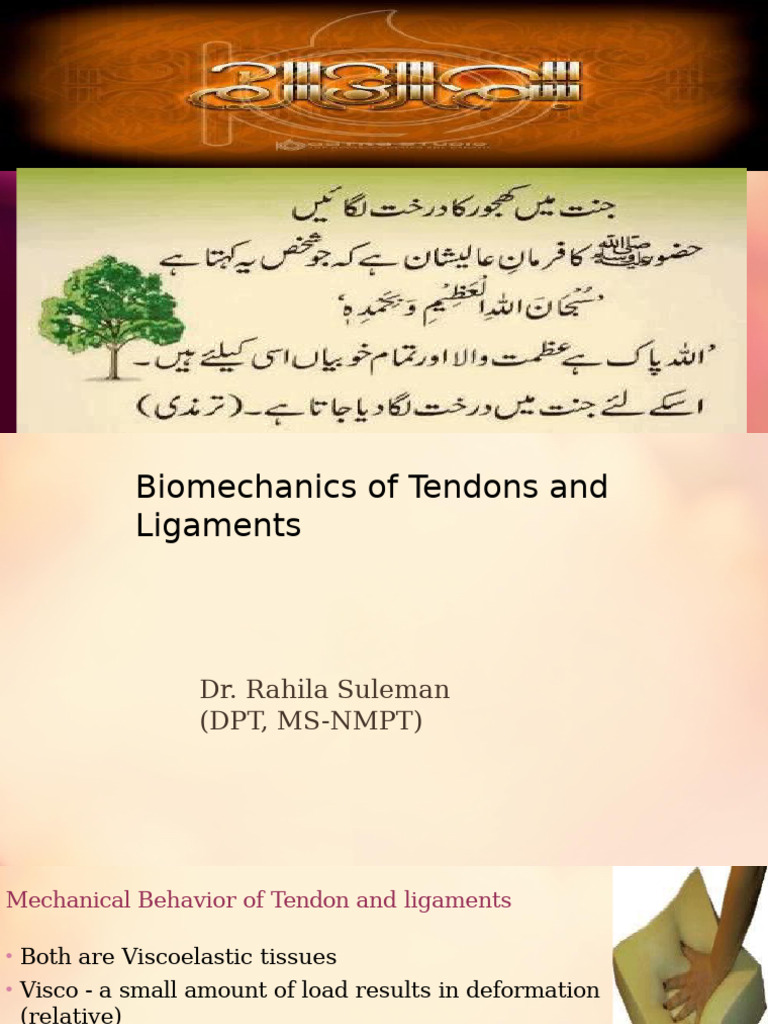 Biomechanics of Tendon and Ligament Part2 | PDF | Tendon | Deformation ...