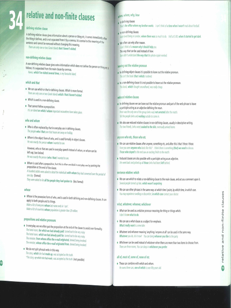 Advanced Relative Clauses | PDF