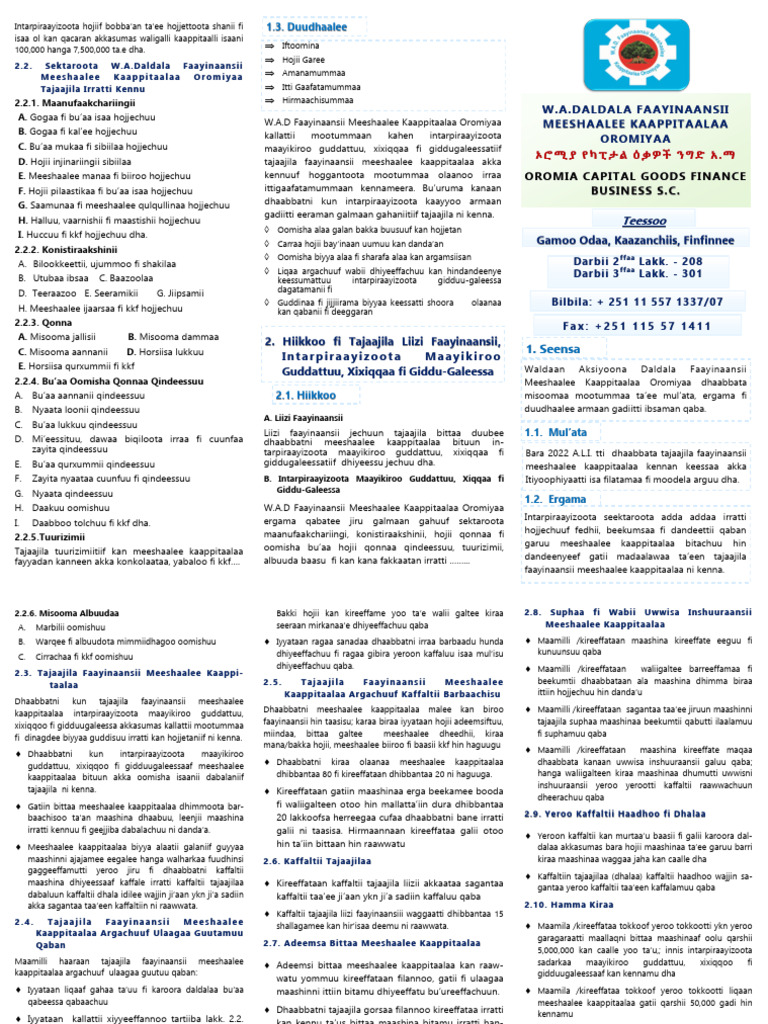 Afan Oromo Brochure | PDF