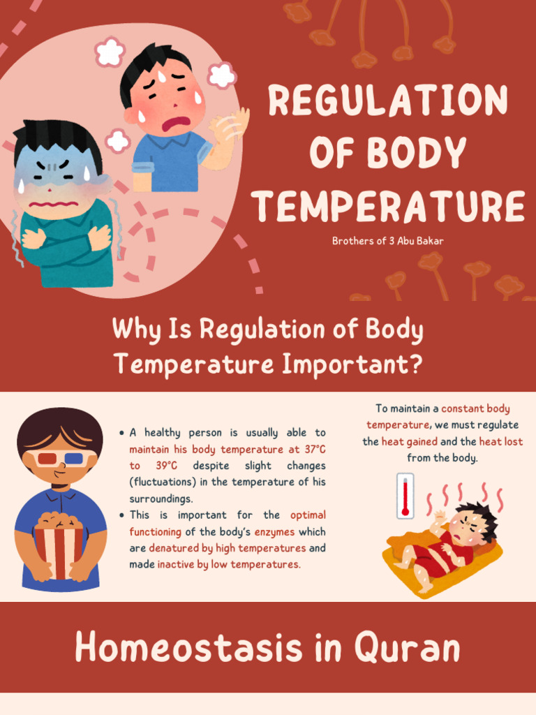 Regulation of Body Temperature (Bro 3 Abu) | PDF | Skin | Vasodilation