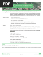 Grade 6 Photosynthesis Lesson Plan | PDF | Photosynthesis | Plants
