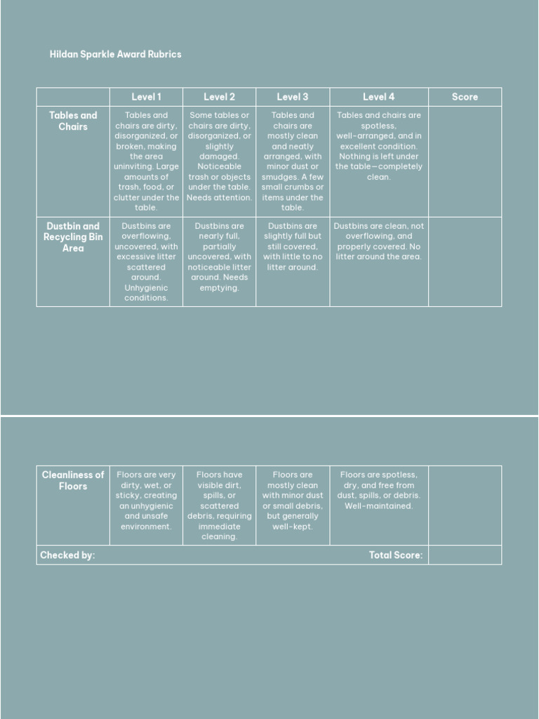 Hildan Sparkle Award Evaluation Rubric | PDF