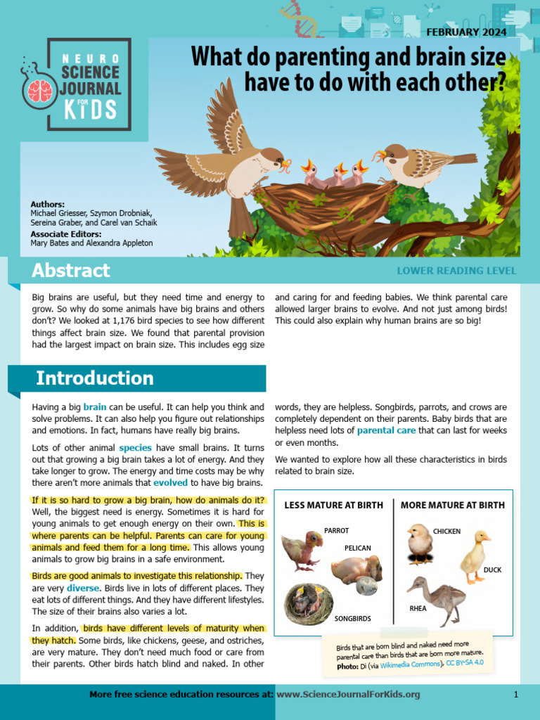 Bird-Brain-Size Article Lower Level | PDF | Birds | Egg
