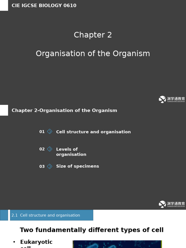 Cell Structure and Organization Overview | PDF | Cell (Biology ...