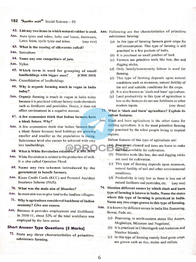 Split 20250228 1302 | PDF