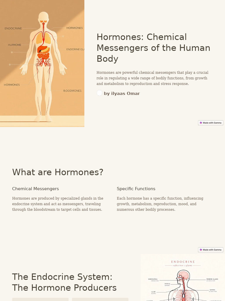 Hormones: Key Chemical Messengers | PDF | Hormone | Endocrine System