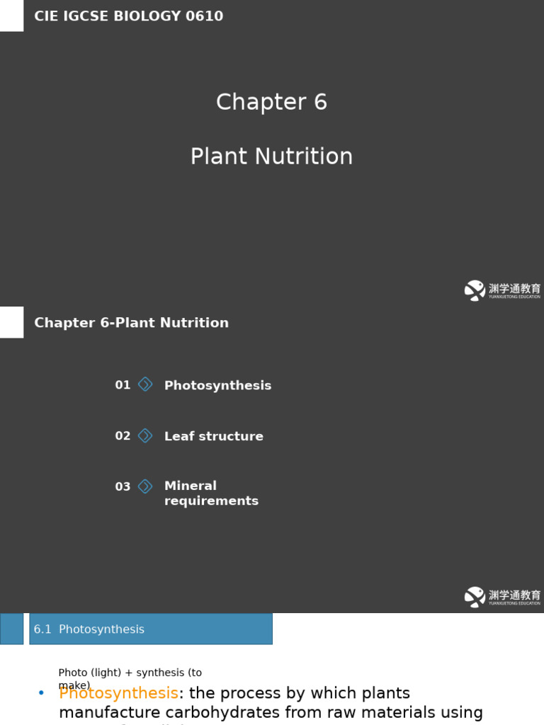 0610-6.plant Nutrition | PDF | Photosynthesis | Leaf
