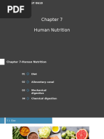 IGCSE Biology: Teeth Structure and Functions | PDF