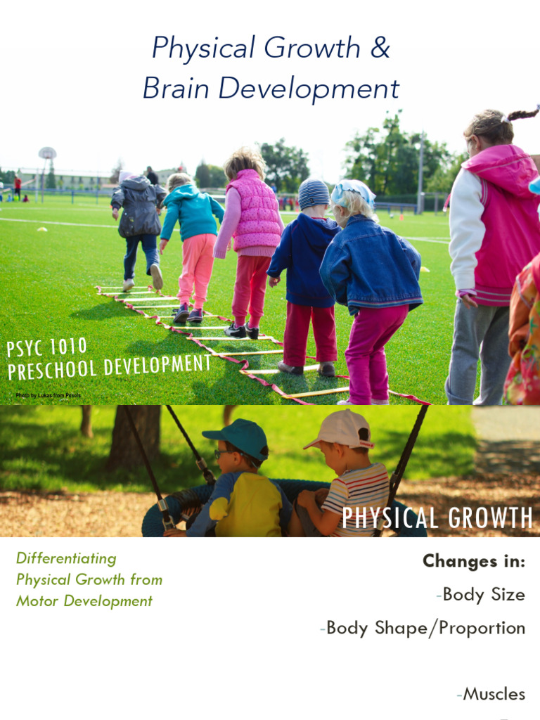 Physical&Brain Growth Sept 14 22 | PDF | Brain | Nervous System