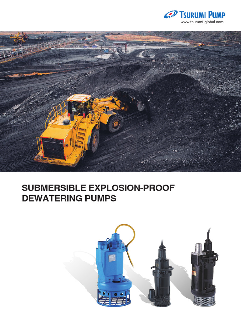 Explosion-Proof Submersible Pumps | PDF | Pump | Cast Iron