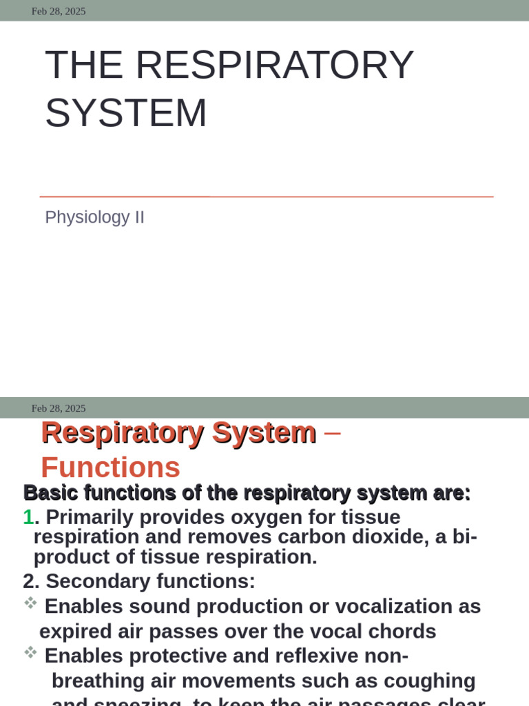 Respiratory System Physiology Pdf Respiratory Tract Lung