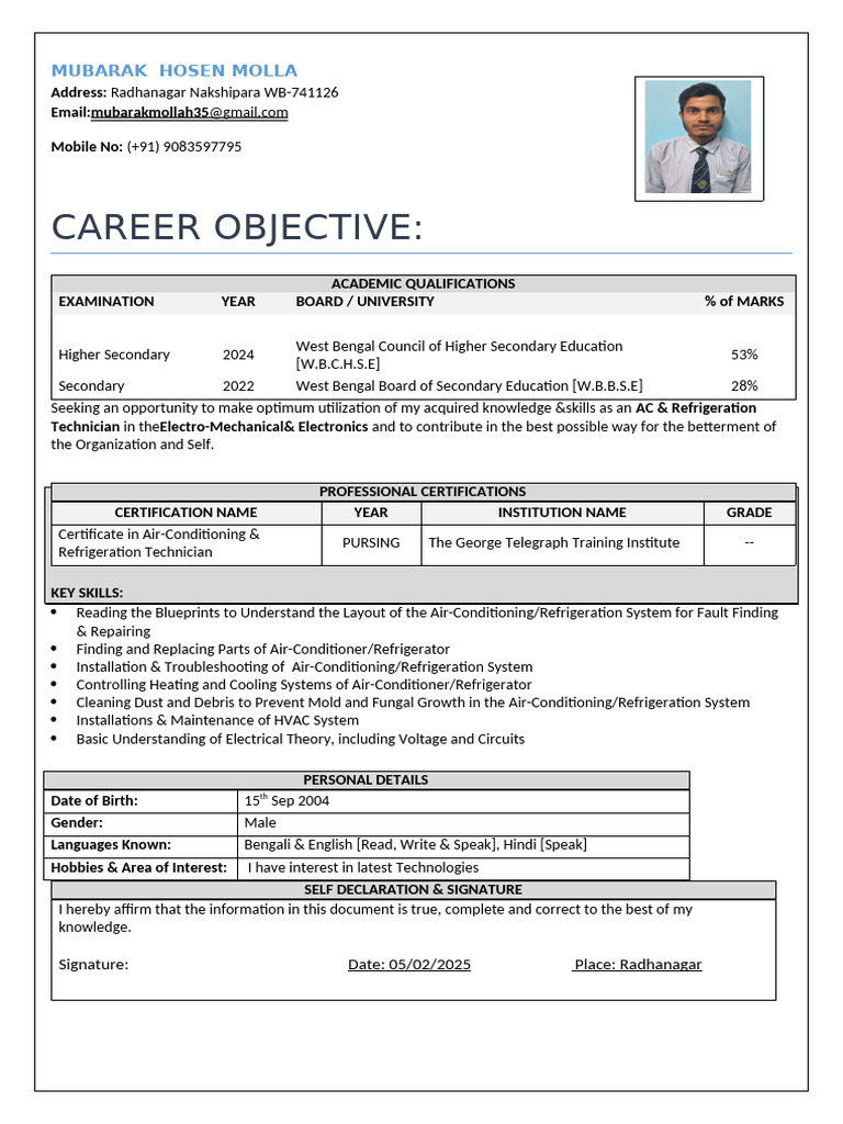 Mubarak CV | PDF