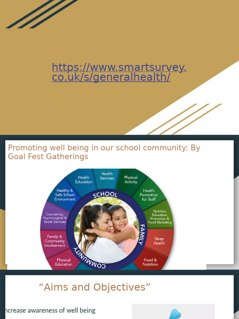 School Well-Being Initiatives Overview | PDF