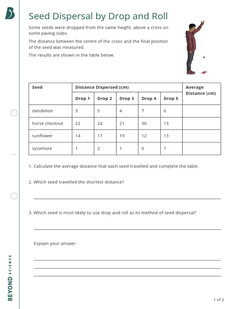 Drop and Roll Investigation Worksheet | PDF