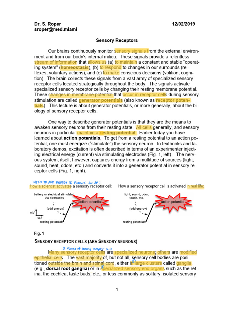 Understanding Sensory Receptors and Potentials | PDF | Stimulus ...