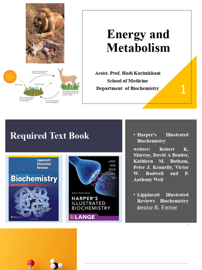 Energy Flow and Bioenergetics in Biochemistry | PDF | Adenosine ...