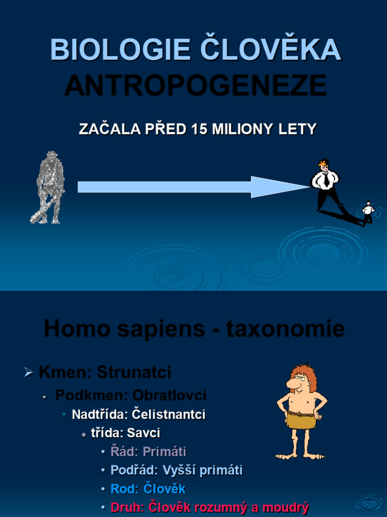 Vyvoj Cloveka | PDF