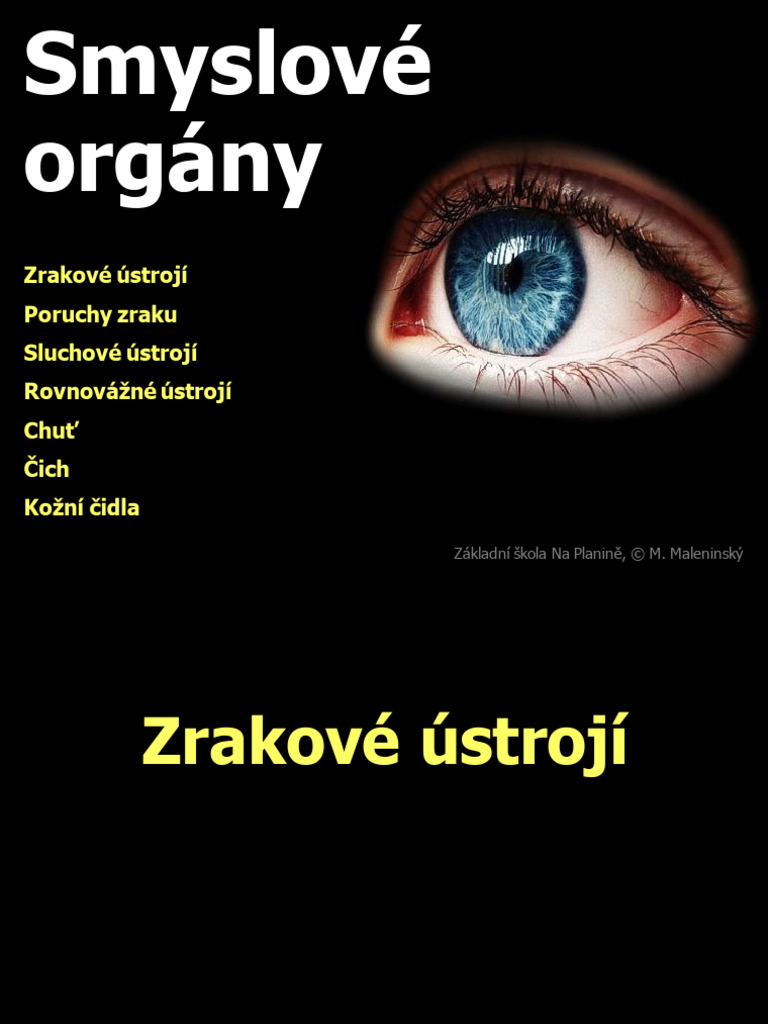 9 Smyslove Organy | PDF