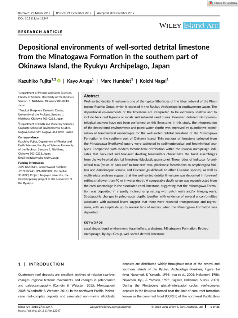 Minatogawa | PDF | Limestone | Sedimentary Rock