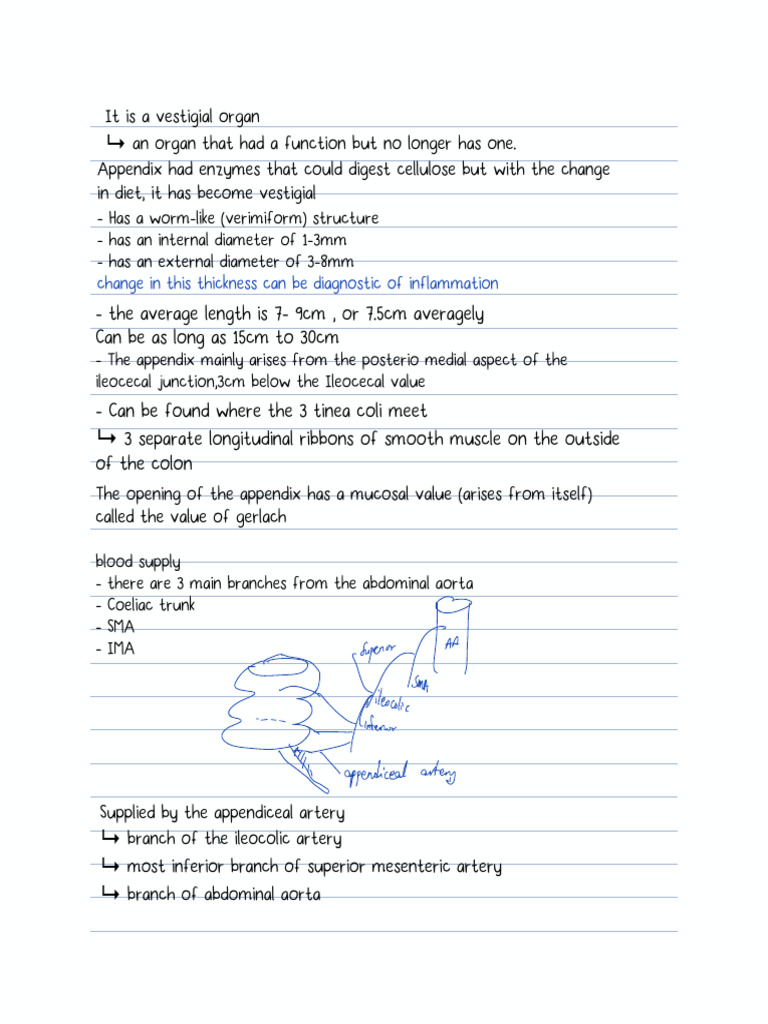 Understanding Sherren's Triangle in Appendicitis | PDF | Clinical ...