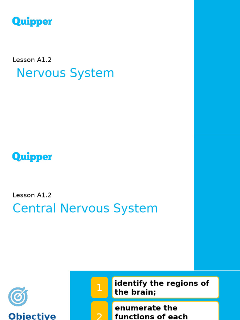 Science 10 A1.2 Central Nervous System | PDF | Vertebral Column | Cerebral Cortex