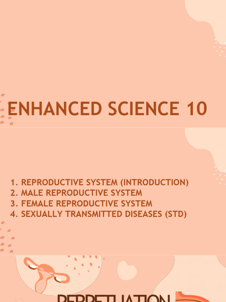 Lesson 1 - Reproductive System | PDF | Reproductive System | Sexually ...
