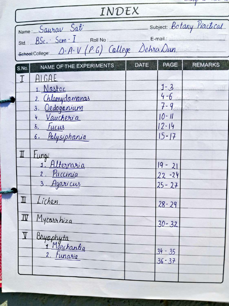 Botany Practical File (Upto Pteridophyte.) Navdeep Rana ABVP?? | PDF