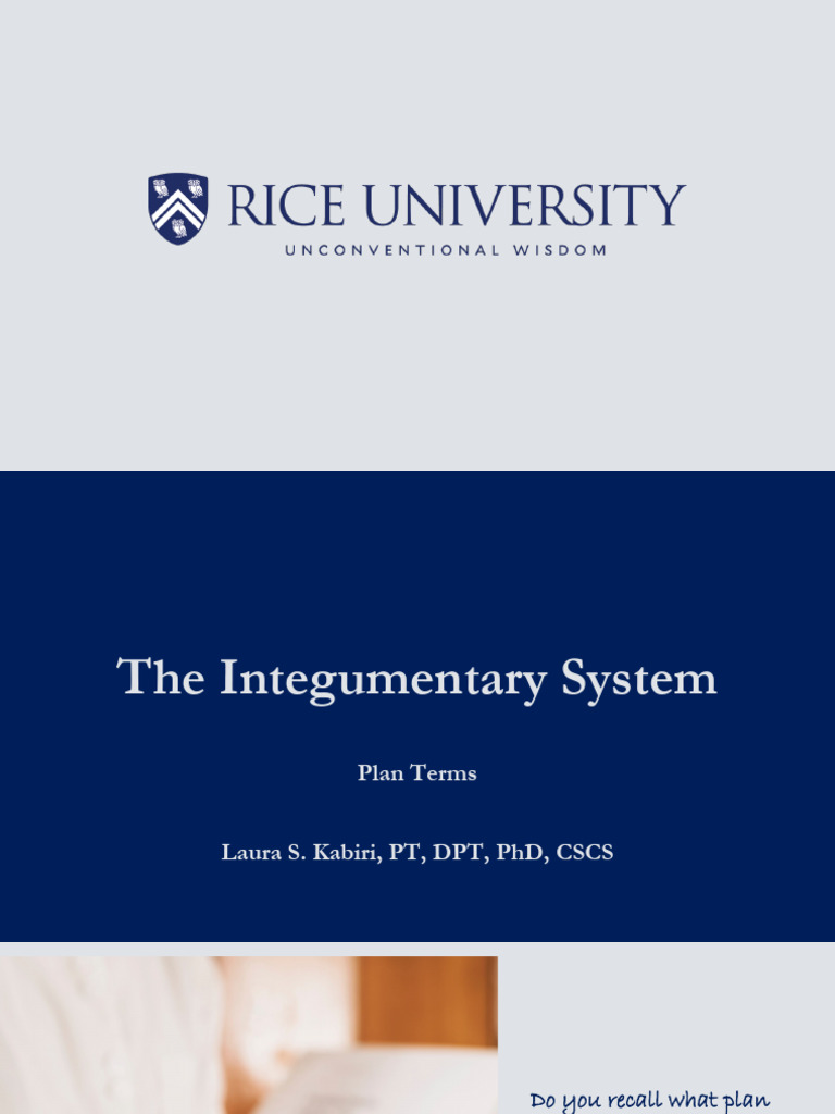 Handout-Integumentary Plan Terms | PDF